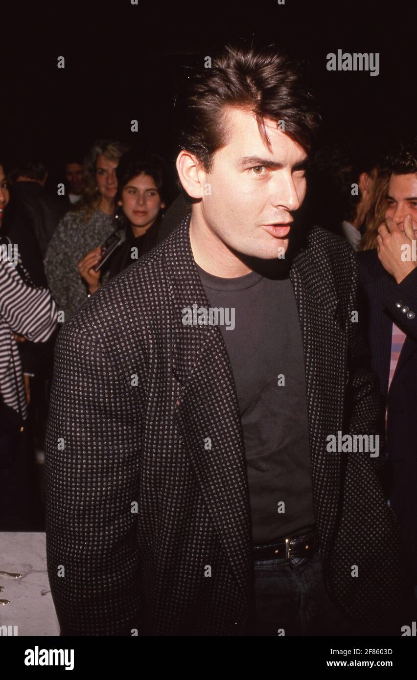 Charlie Sheen The Outsiders