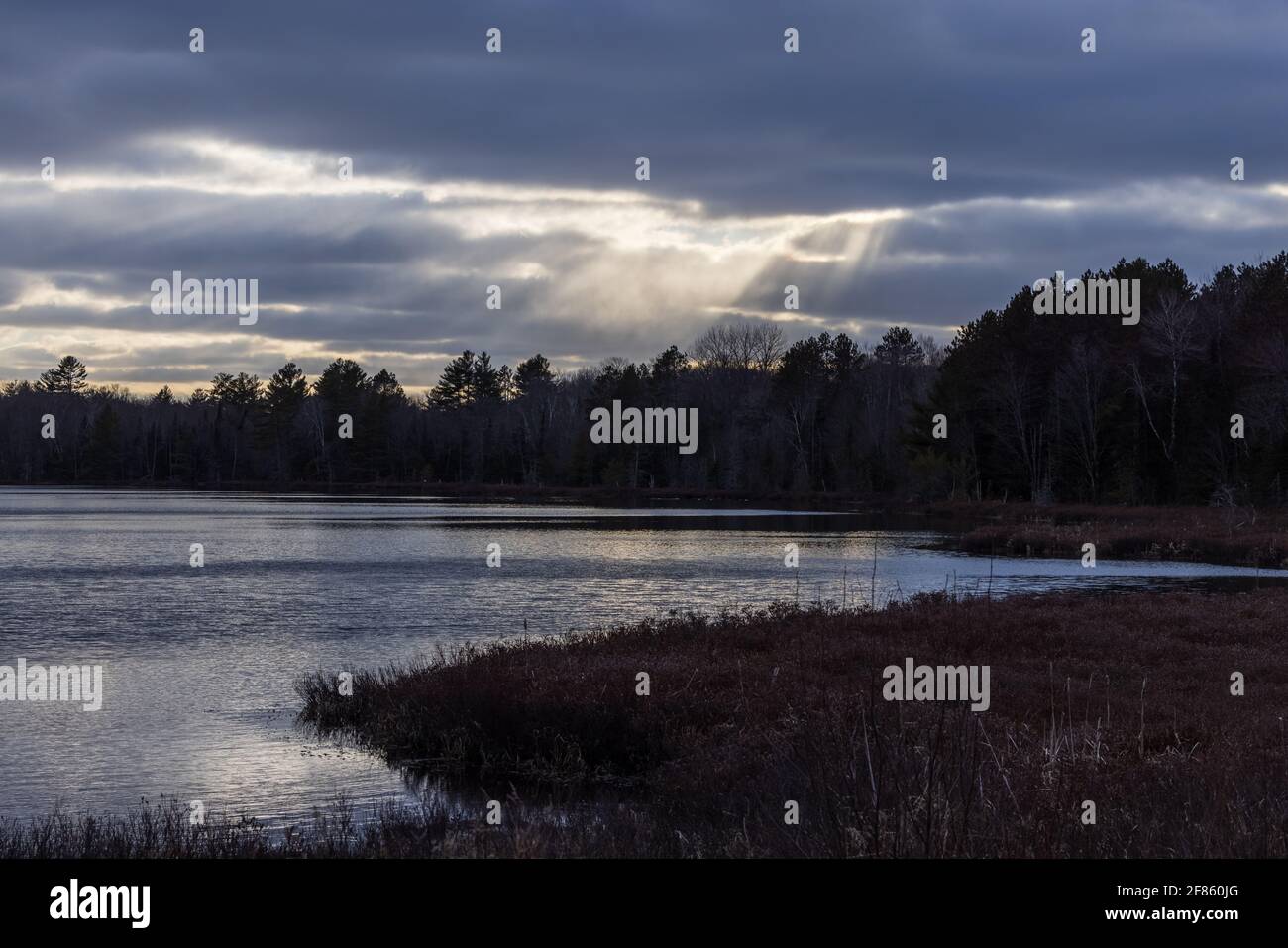 Clam lake water hi-res stock photography and images - Alamy