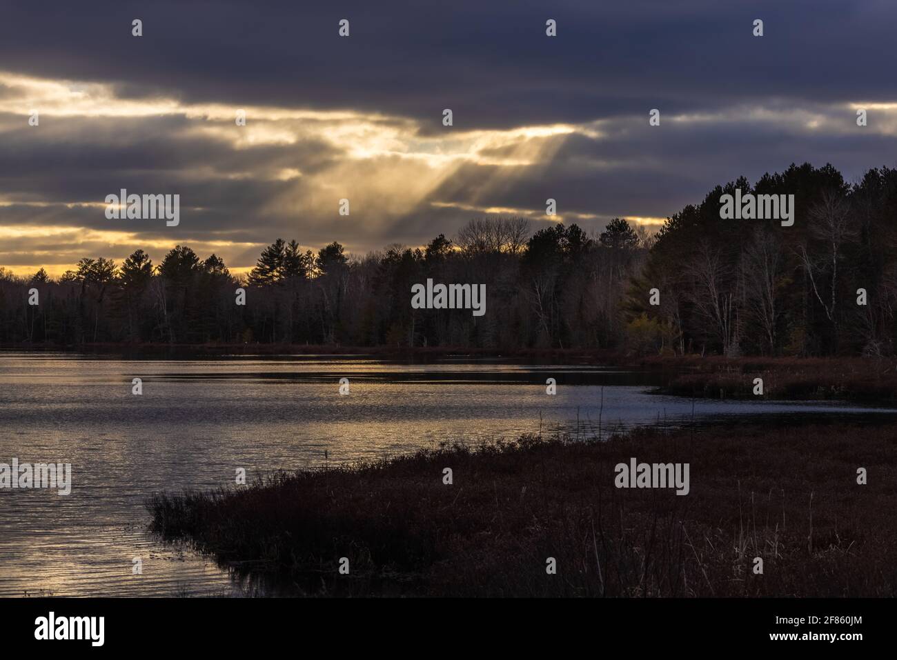 Clam lake water hi-res stock photography and images - Alamy