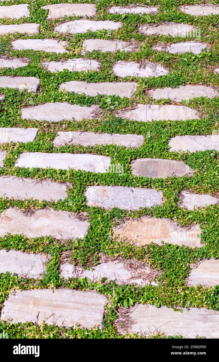 Belgian block hi-res stock photography and images - Alamy