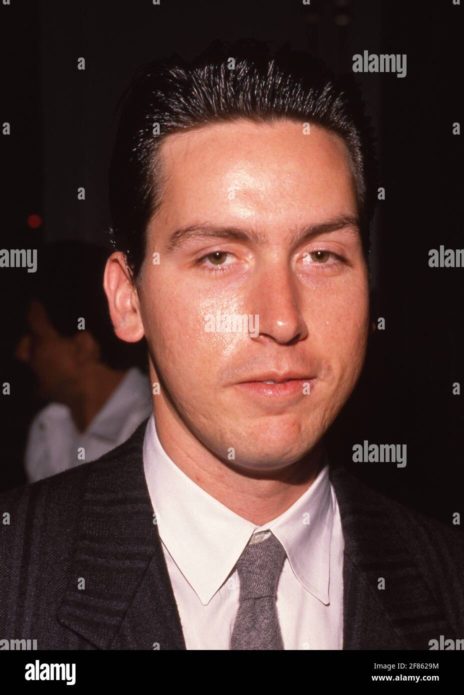 Ramon Sheen 1989 Credit: Ralph Dominguez/MediaPunch Stock Photo - Alamy
