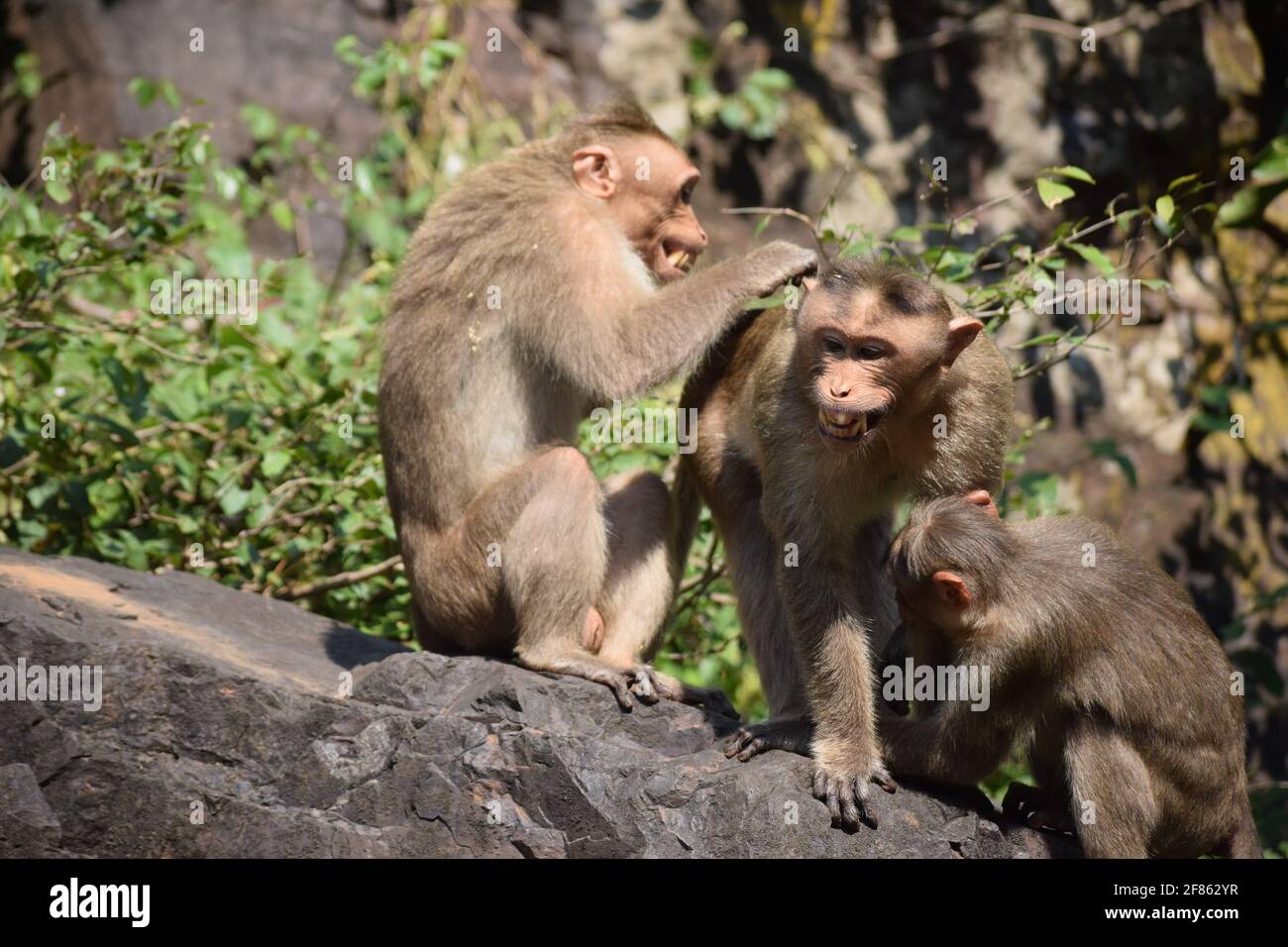 Closeup shot cute female hi-res stock photography and images - Alamy