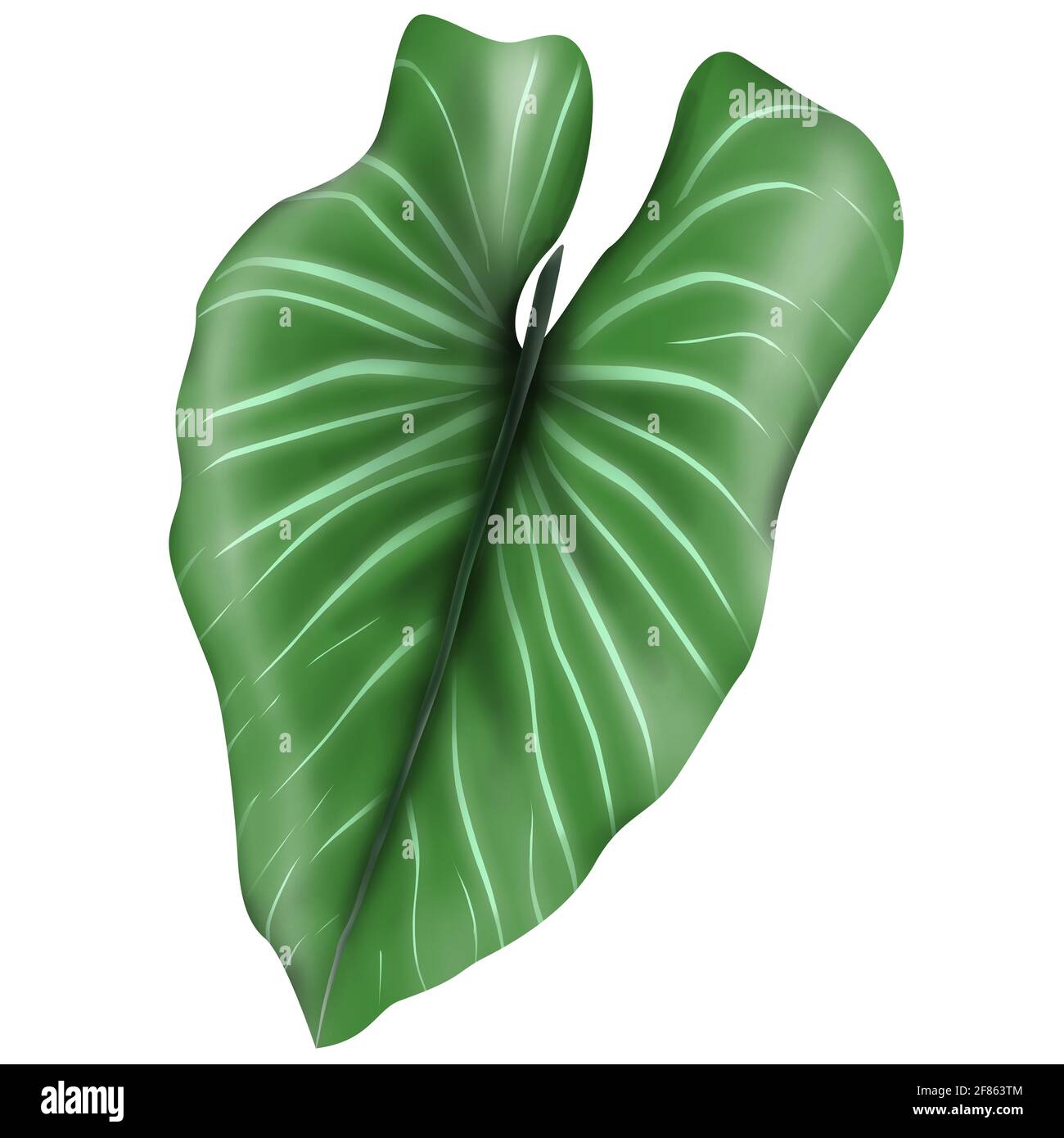 Wild growing plants Cut Out Stock Images & Pictures - Alamy