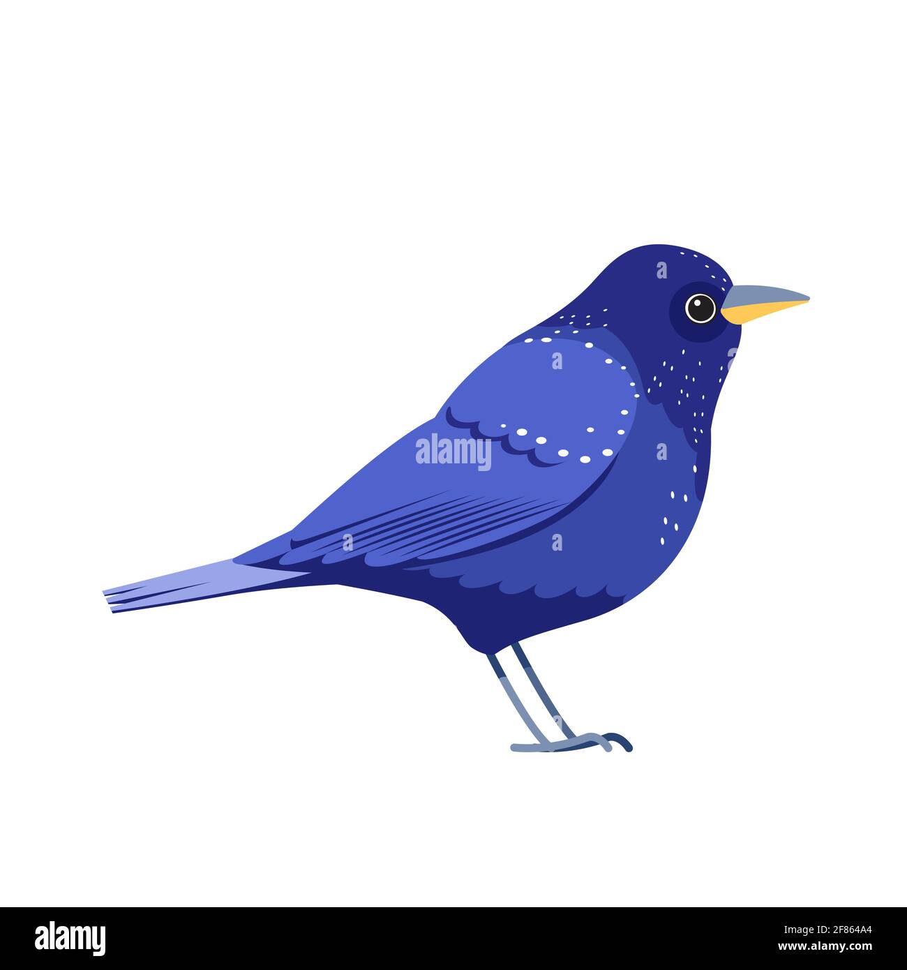 Blue bird or purple thrush, side profile. Cartoon, flat style vector ...
