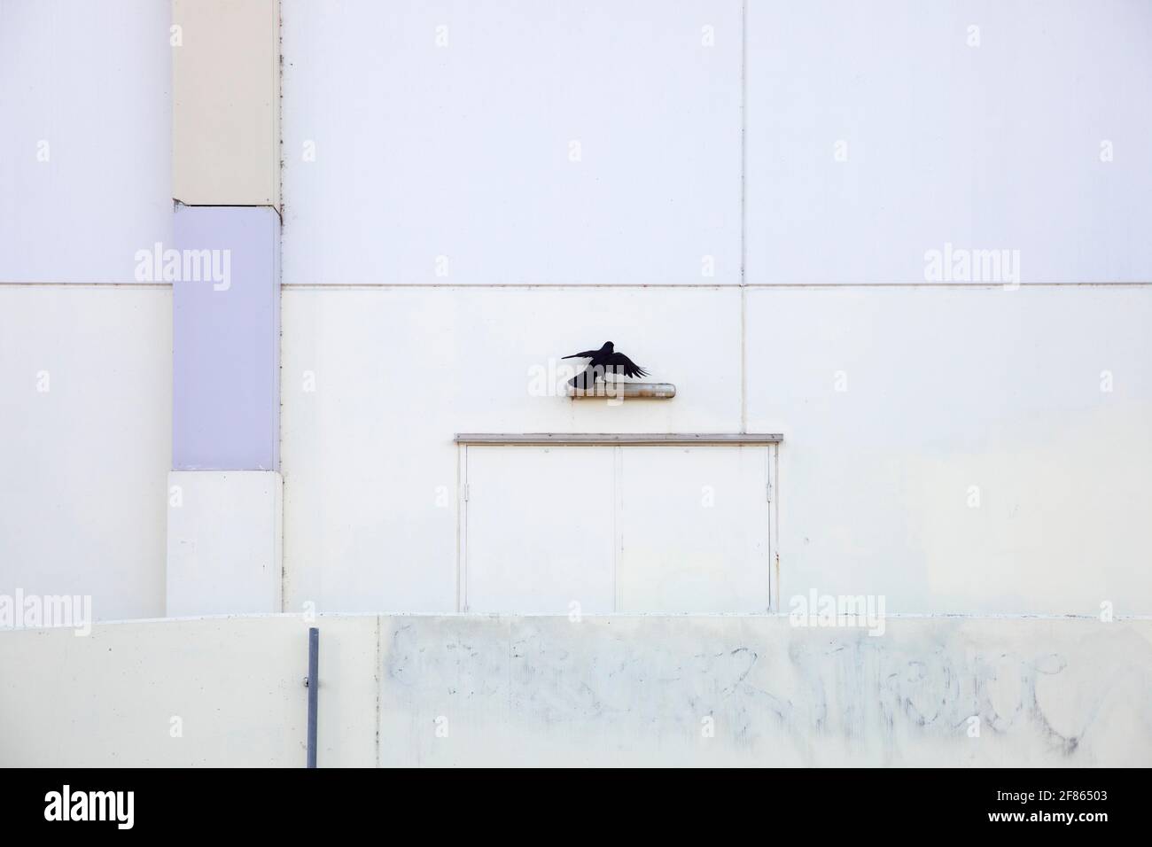 Sitting front silhouette isolated hi-res stock photography and images ...