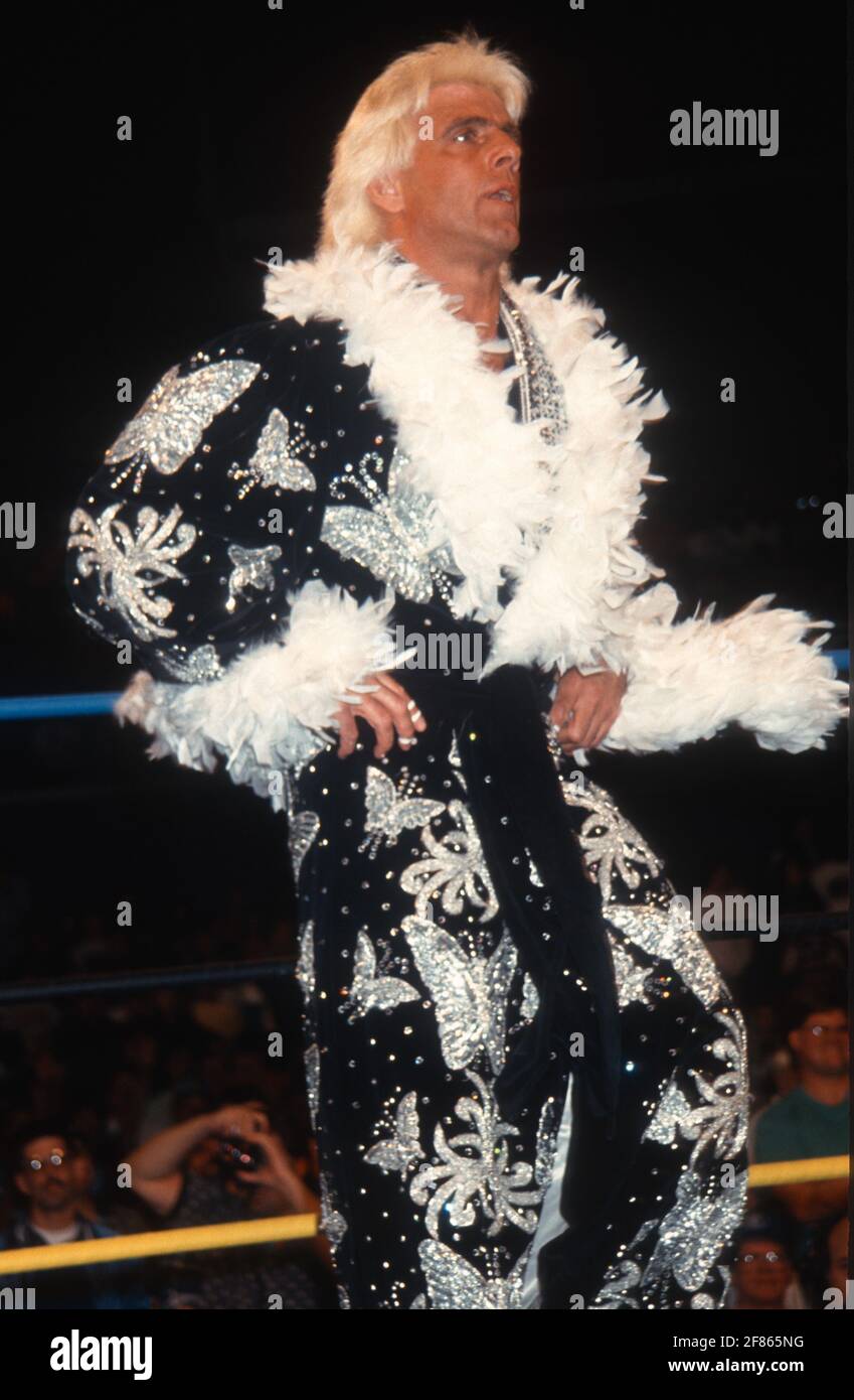 Ric Flair 1993Photo By John Barrett/PHOTOlink /MediaPunch Stock Photo ...