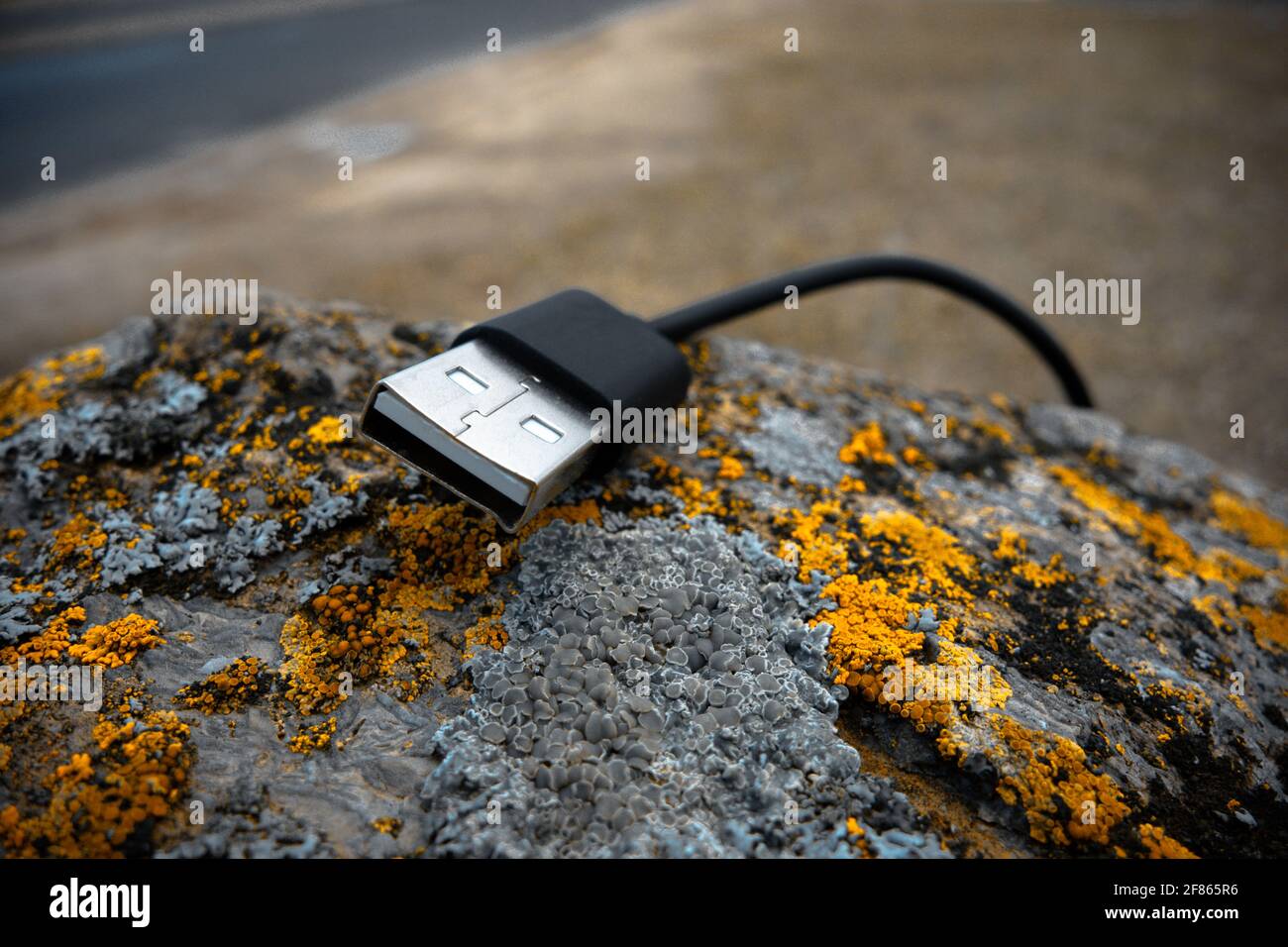 Moldy rock hi-res stock photography and images - Alamy