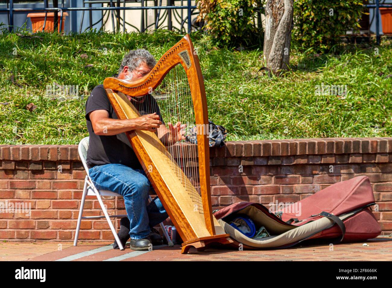 A street musician performing hi-res stock photography and images - Alamy