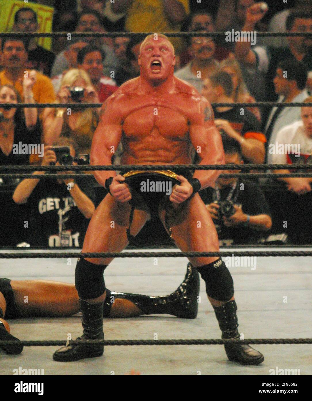 Brock Leanar Dwayne The Rock Johnson 2002 Photo By John Barrett ...