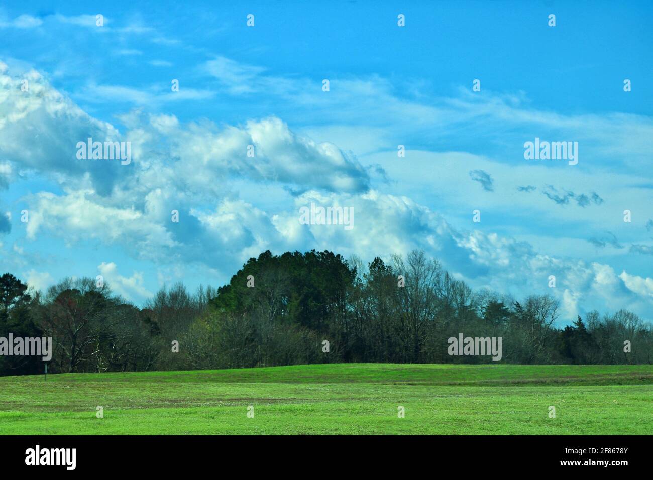 Beautiful scenery of green plain with trees background under a cloudy ...