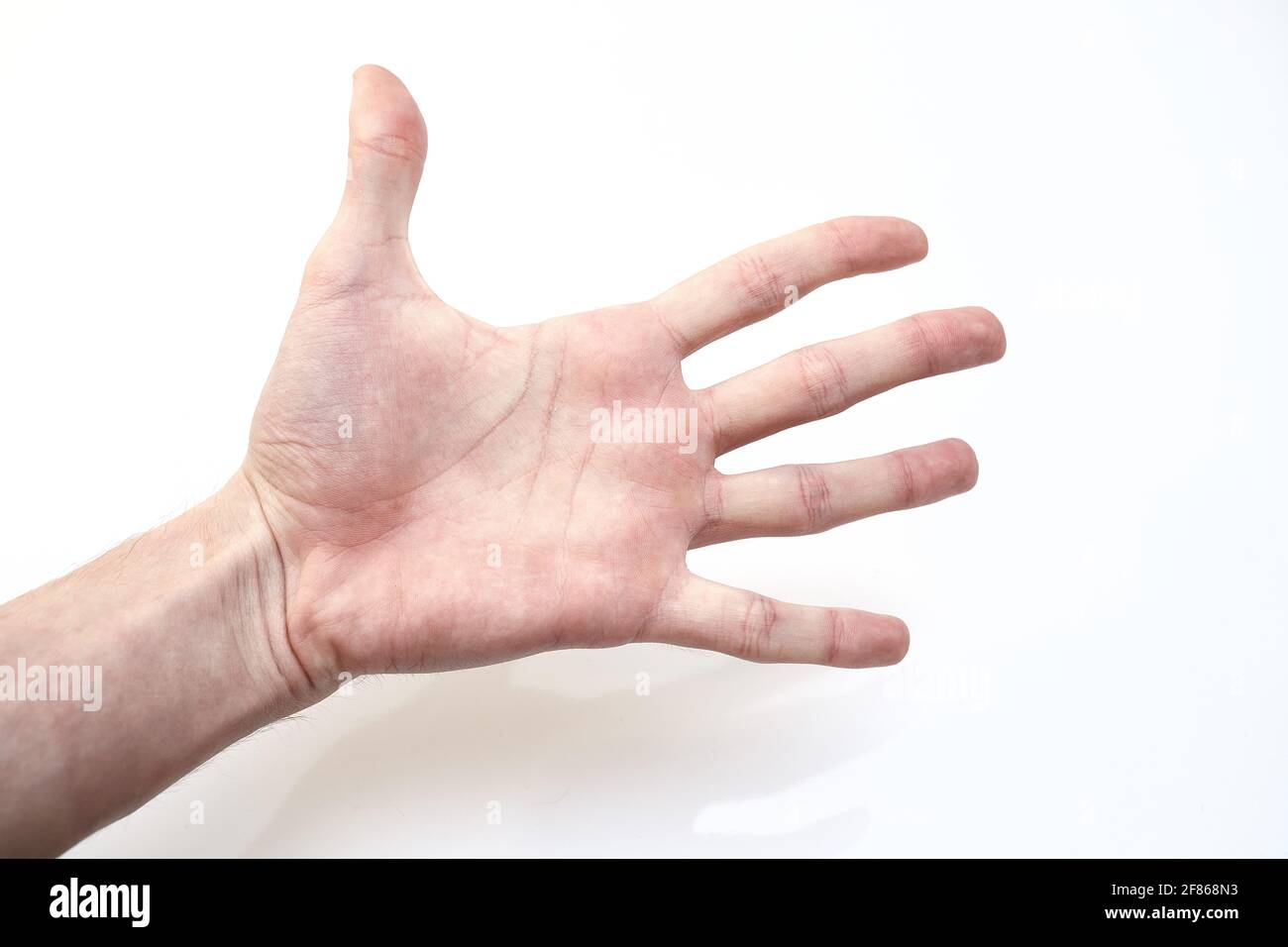 Closeup shot of a male's palm on a white background Stock Photo - Alamy