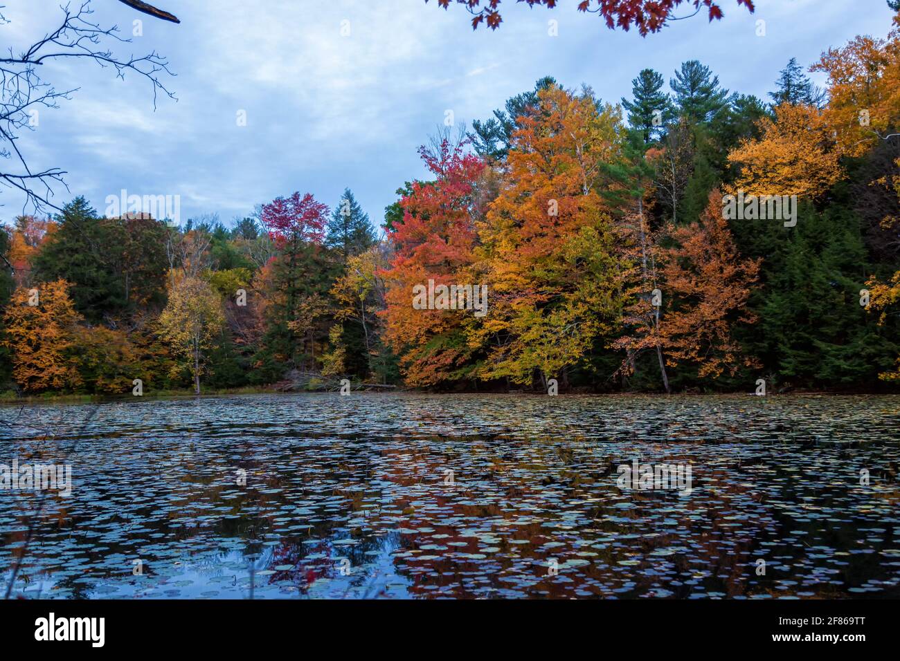 Fall Season in Western Massachusetts Stock Photo - Alamy