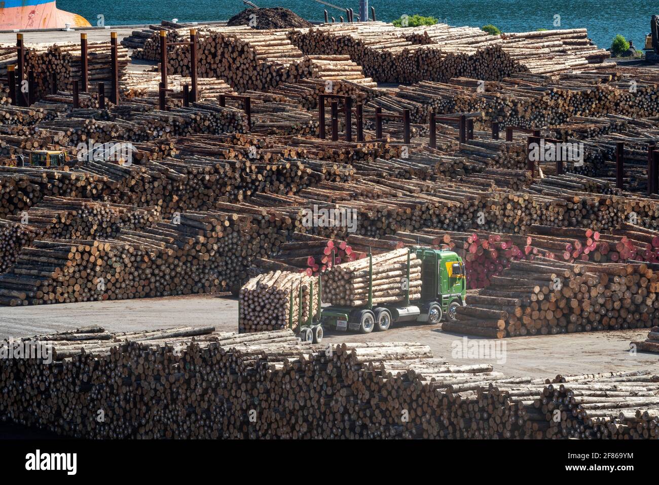 Loading logs new zealand hi-res stock photography and images - Alamy