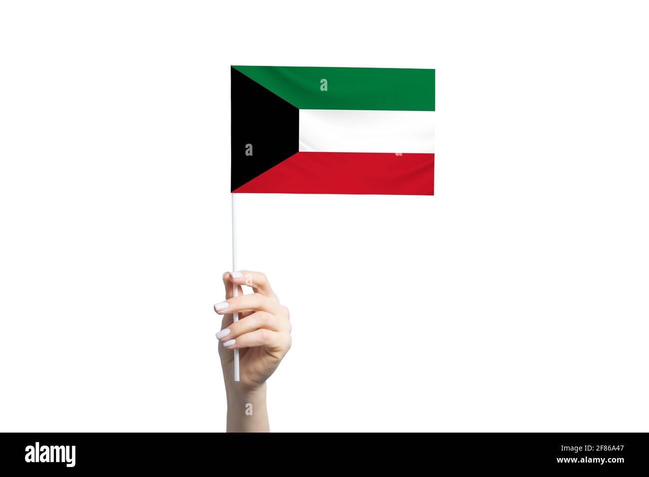 Beautiful female hand holding Kuwait flag, isolated on white background ...