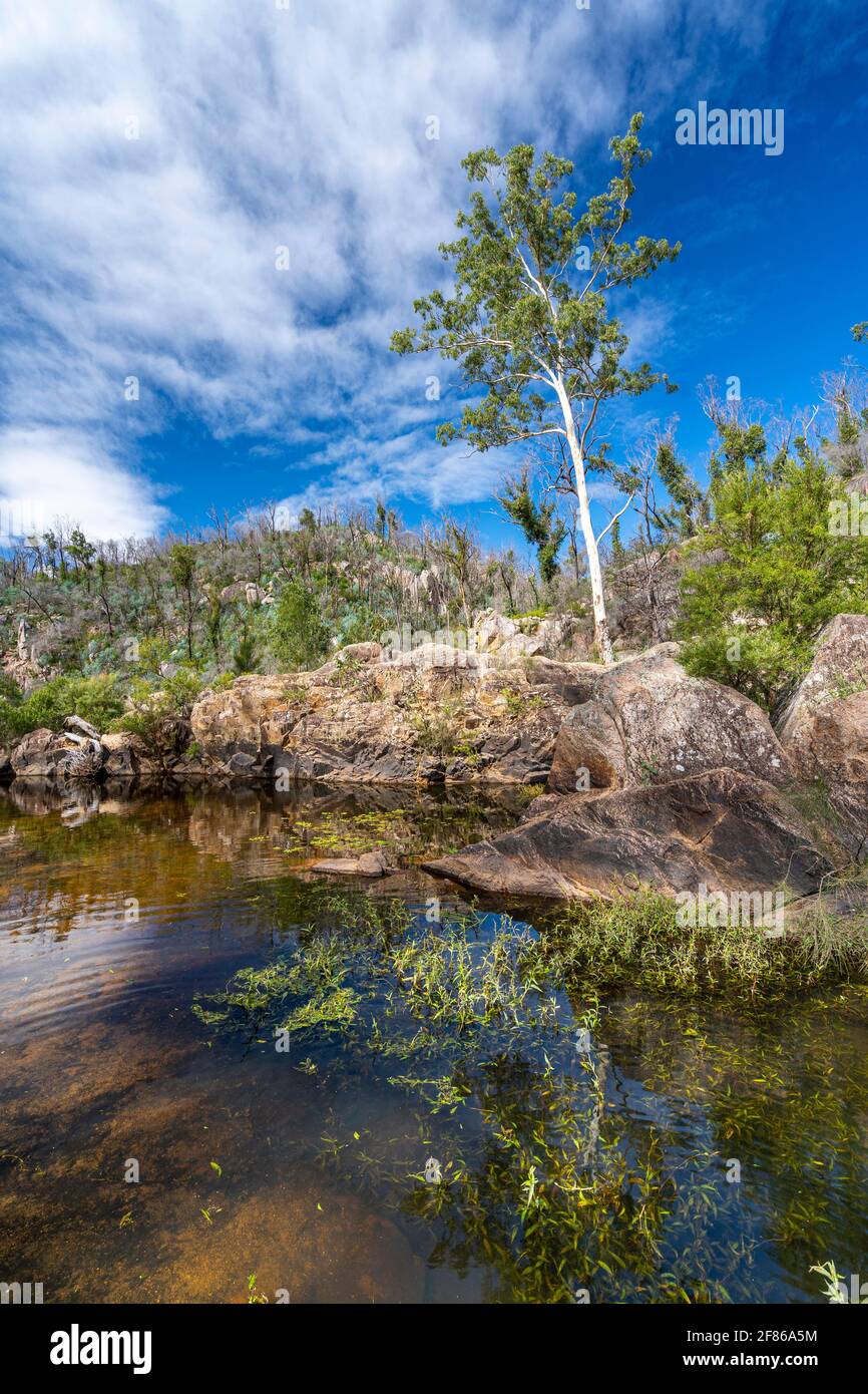 Kauyoo Pool below the Cascades on Crows Nest Creek, Crows Nest National ...