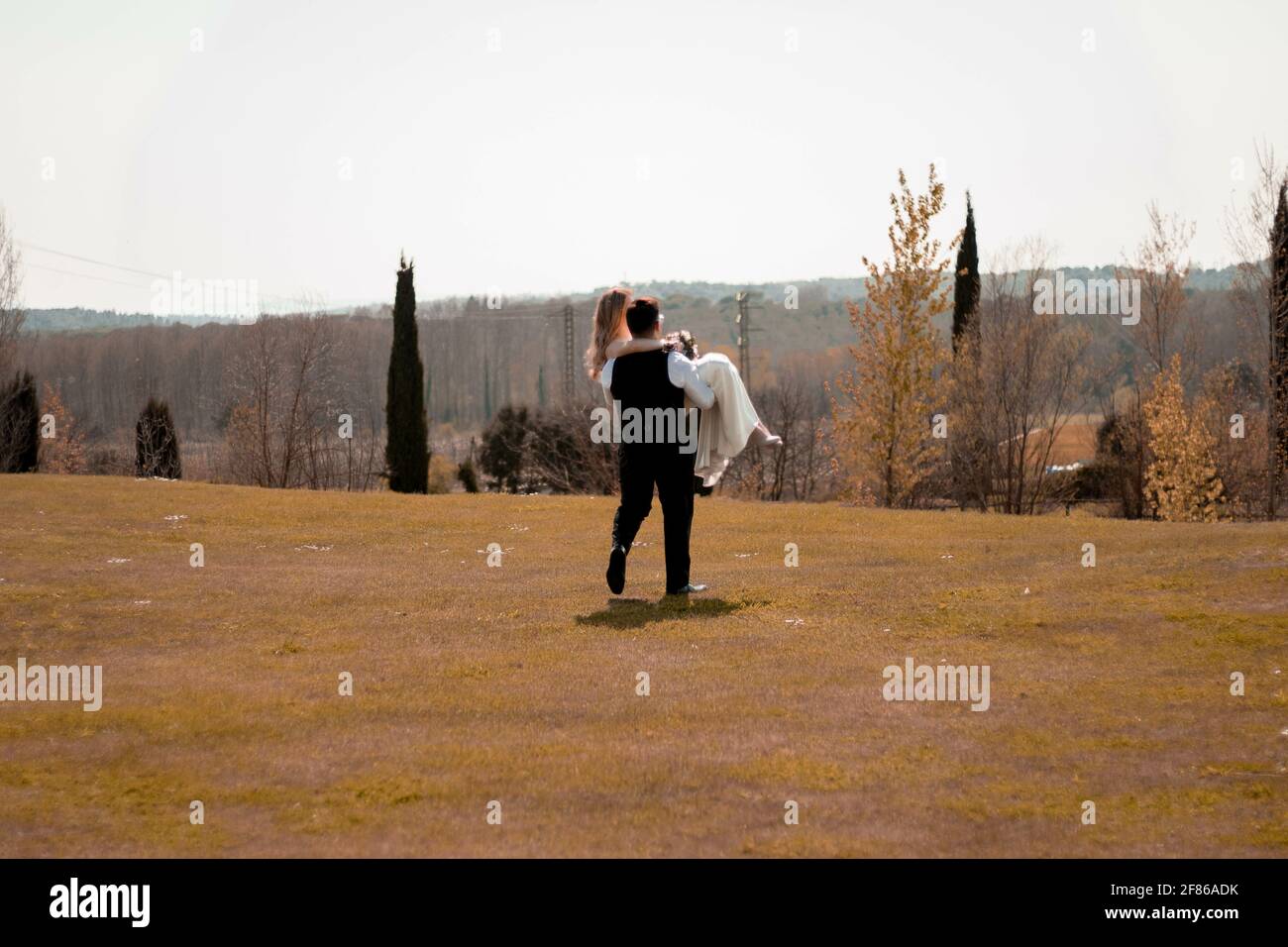 Groom carrying the bride in his hands in a field Stock Photo - Alamy