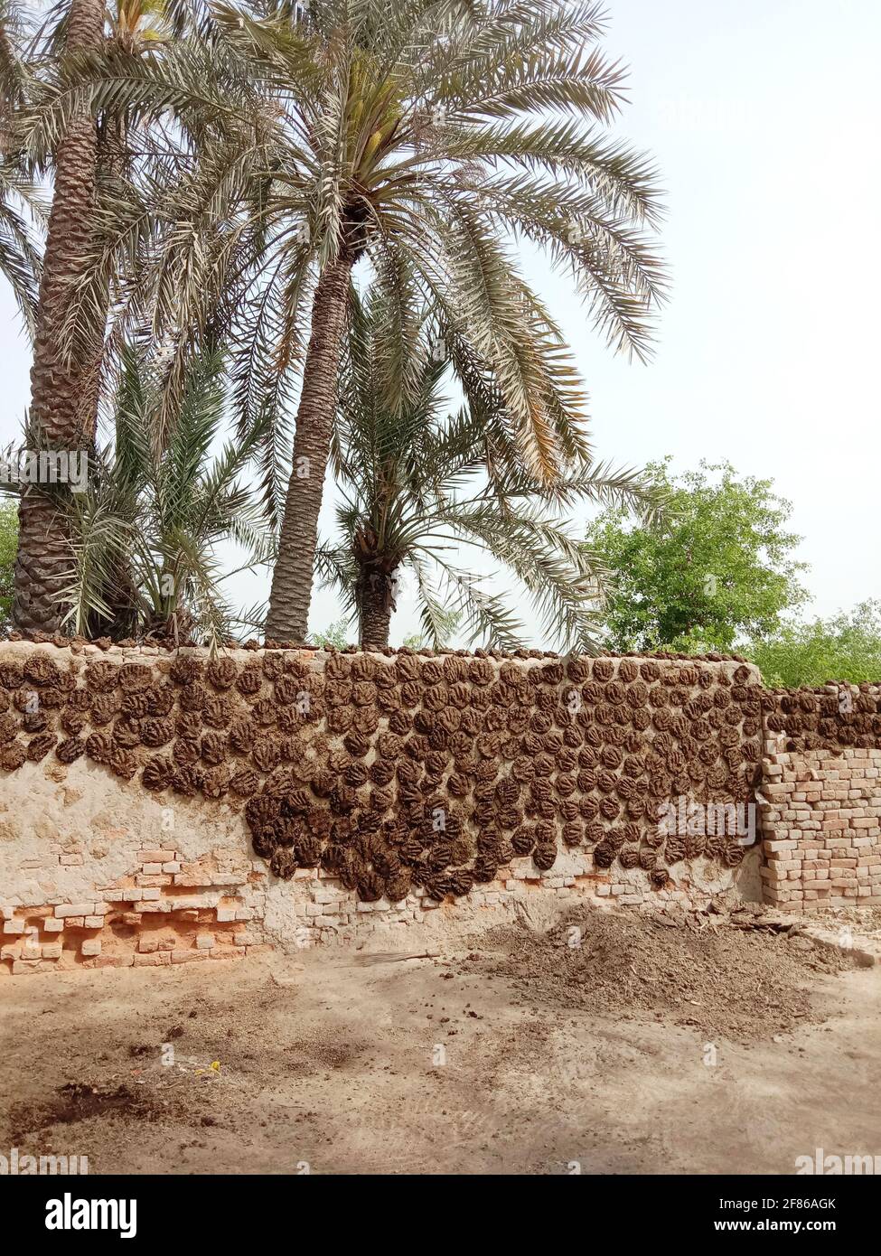 hand made round thing by dunk called (paathi) isolated with wall for ...