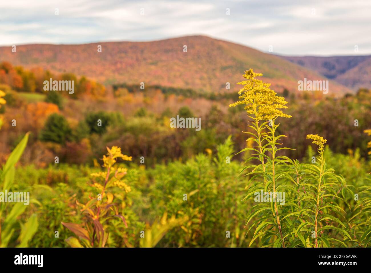 Fall Season in Western Massachusetts Stock Photo - Alamy