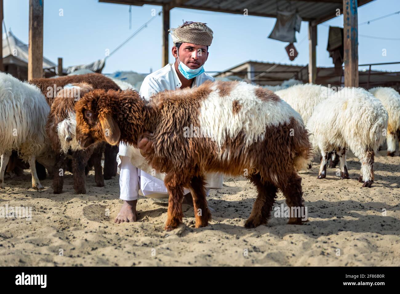 Dammam, Saudi Arabia - 02-April-2021. Young adult man with his goat on ...