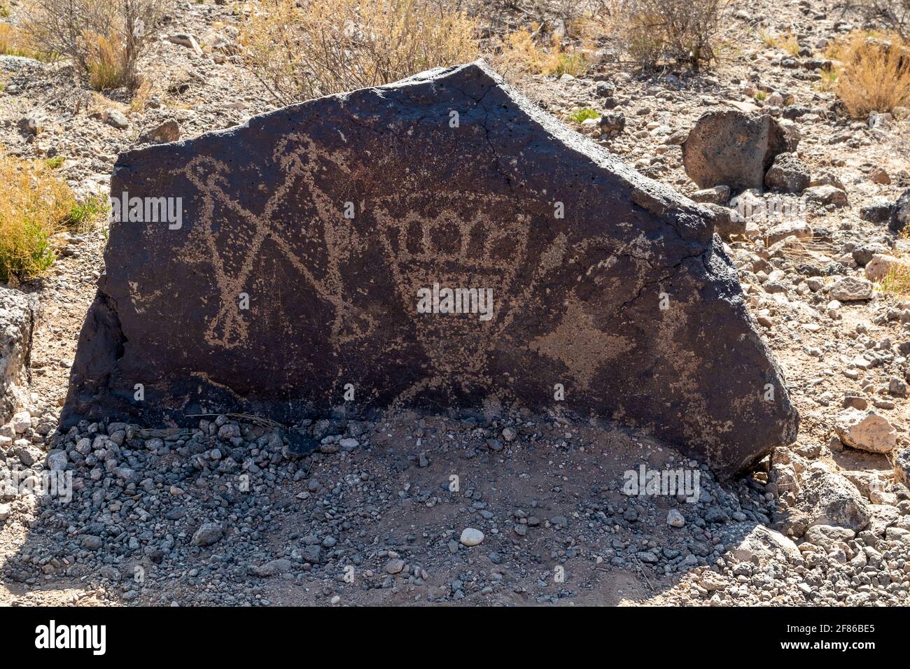 Ancient Native American Rock Art in Petroglyph National Monument ...