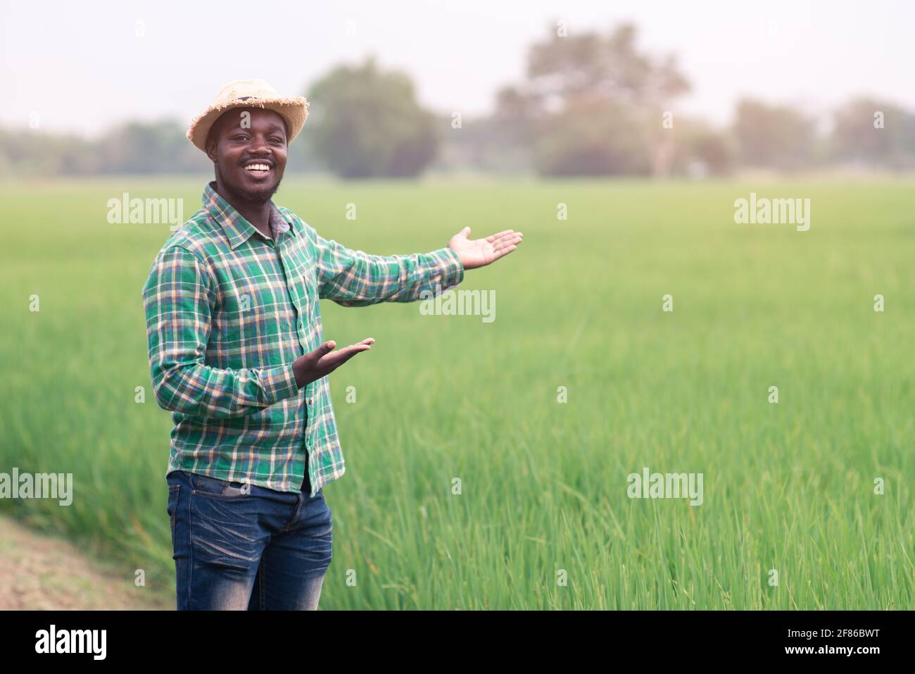 Barley farming africa hi-res stock photography and images - Alamy