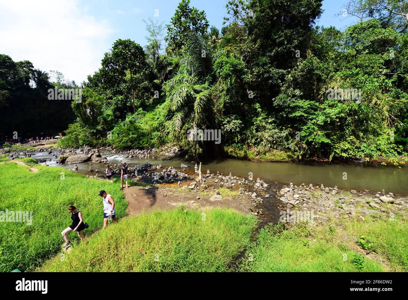 Tourist walking between the fields near the Tegenungan waterfall in ...
