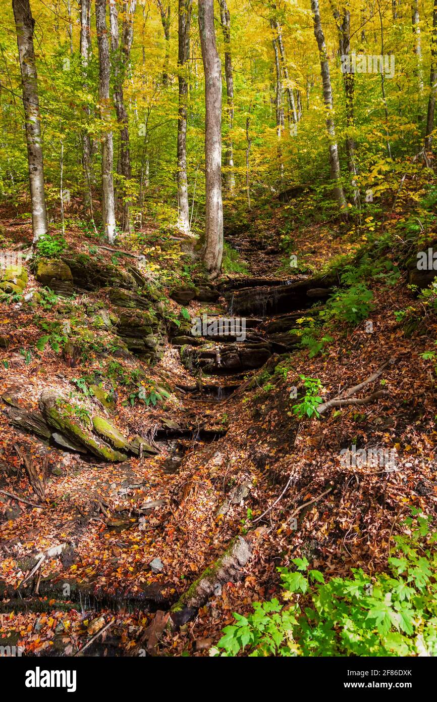 Fall Season in Western Massachusetts Stock Photo - Alamy