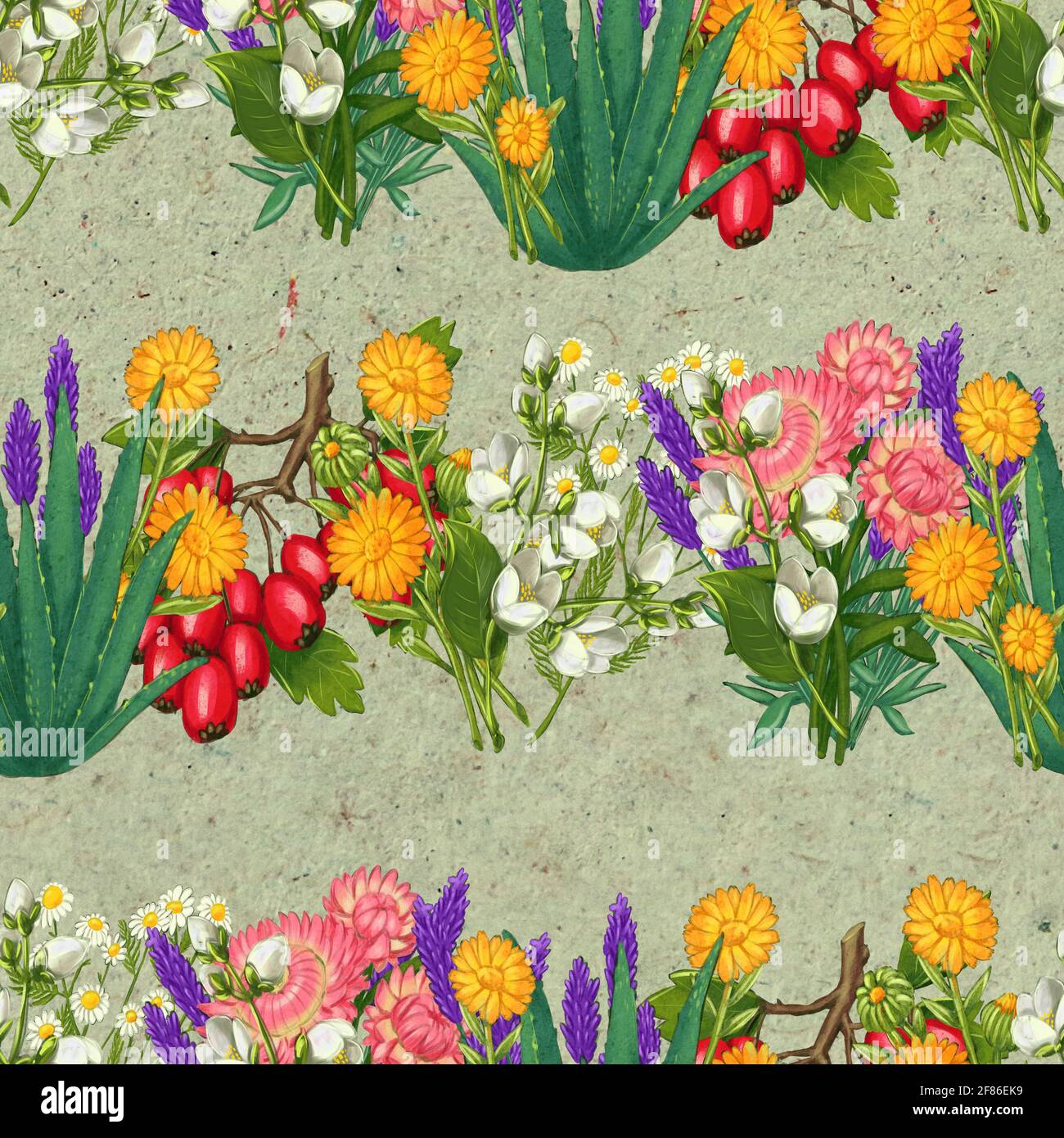 Hand drawn medicinal plant seamless pattern. Healing herbs drawing on ...