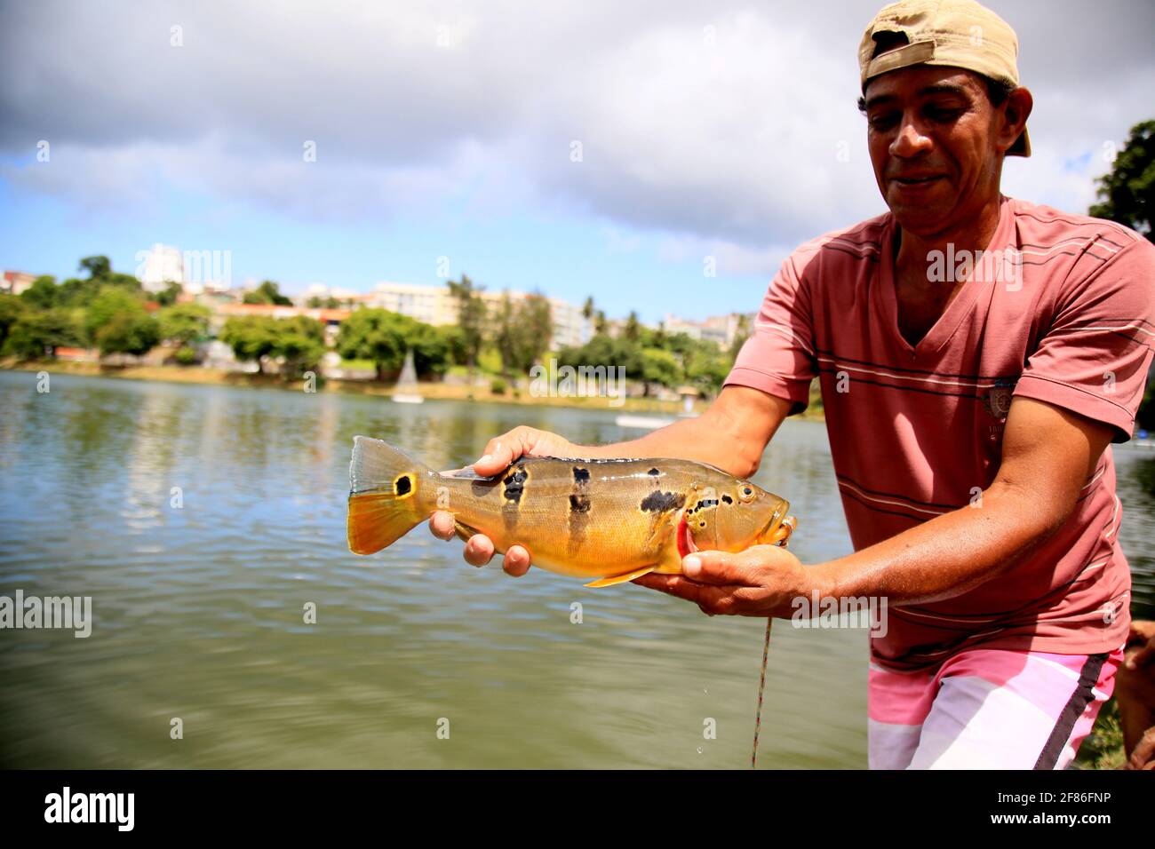 salvador, bahia brazil - december 4, 2020: fisherman shows the tucunare ...