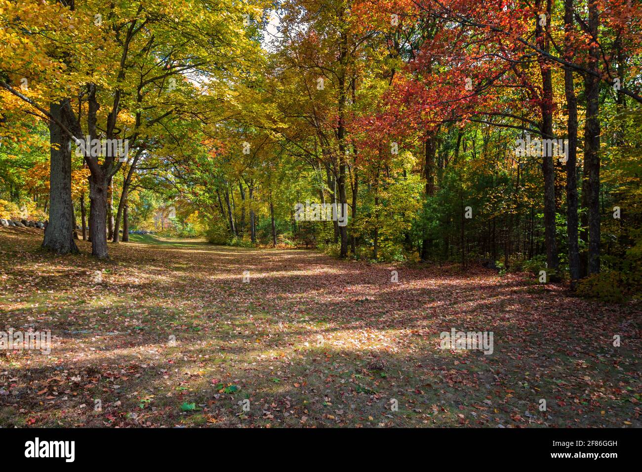 Fall Season in Western Massachusetts Stock Photo - Alamy