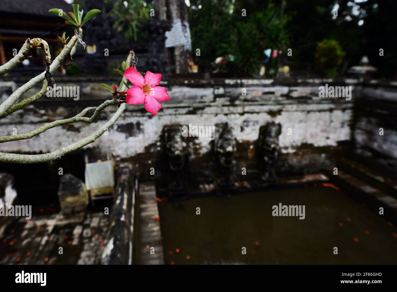 Goa Gajah ( Elephant cave ) temple complex and sanctuary near Ubud ...