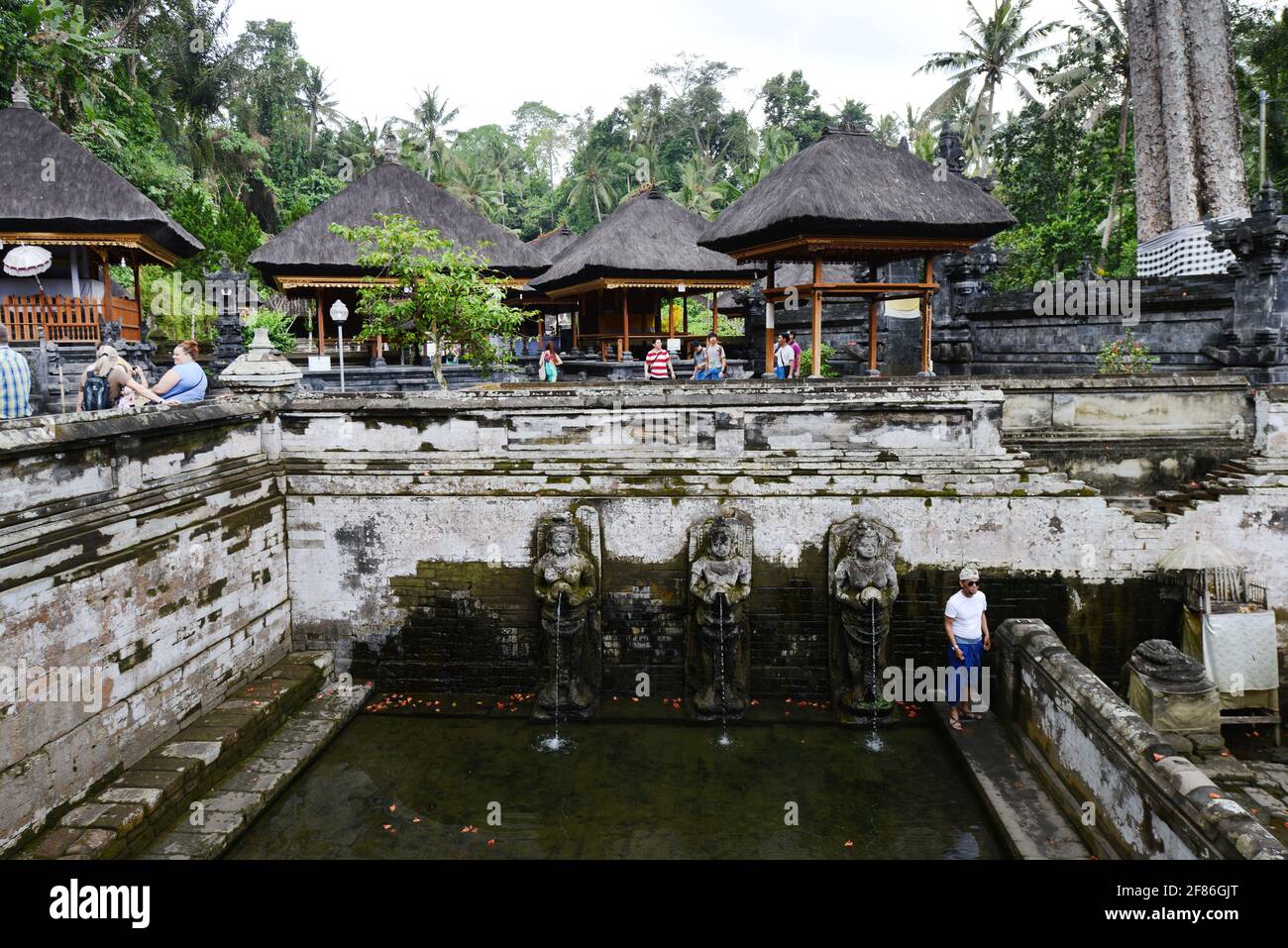 Goa Gajah ( Elephant cave ) temple complex and sanctuary near Ubud ...