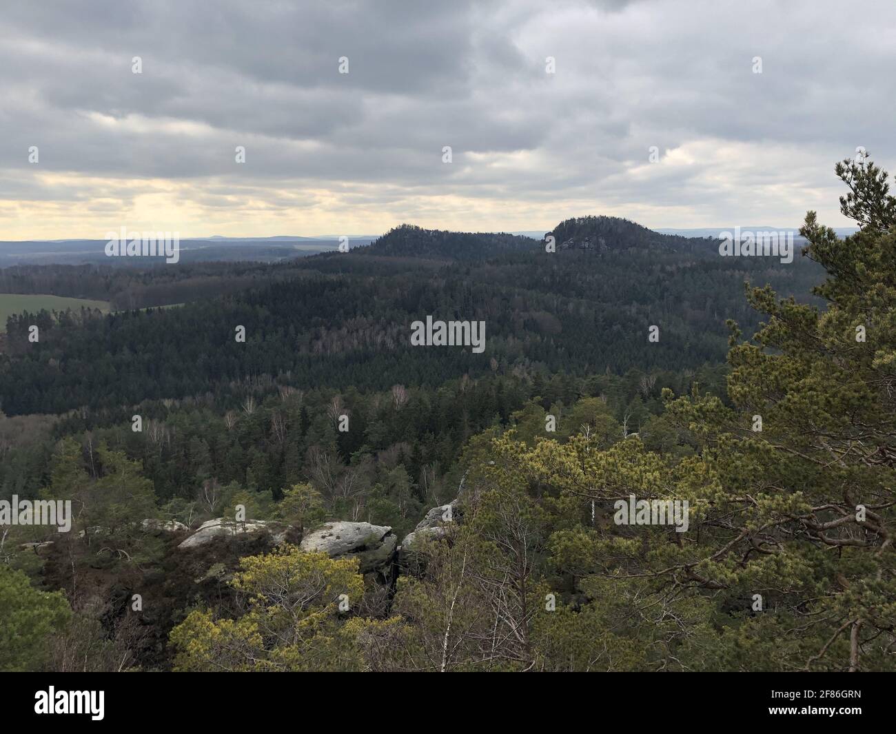 Natural view of thick forest with green mountainous landscape under a ...