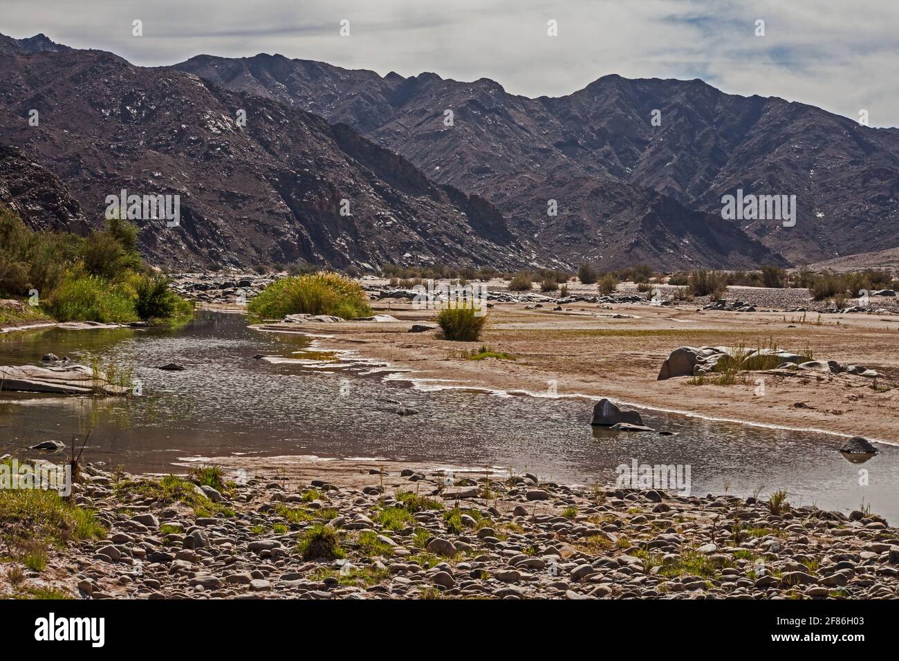 Dry riverbed fish hi-res stock photography and images - Alamy