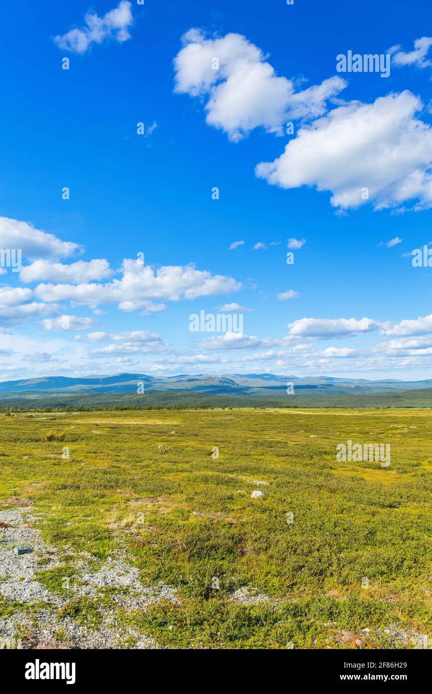Aerial view at a moorland in summer Stock Photo - Alamy