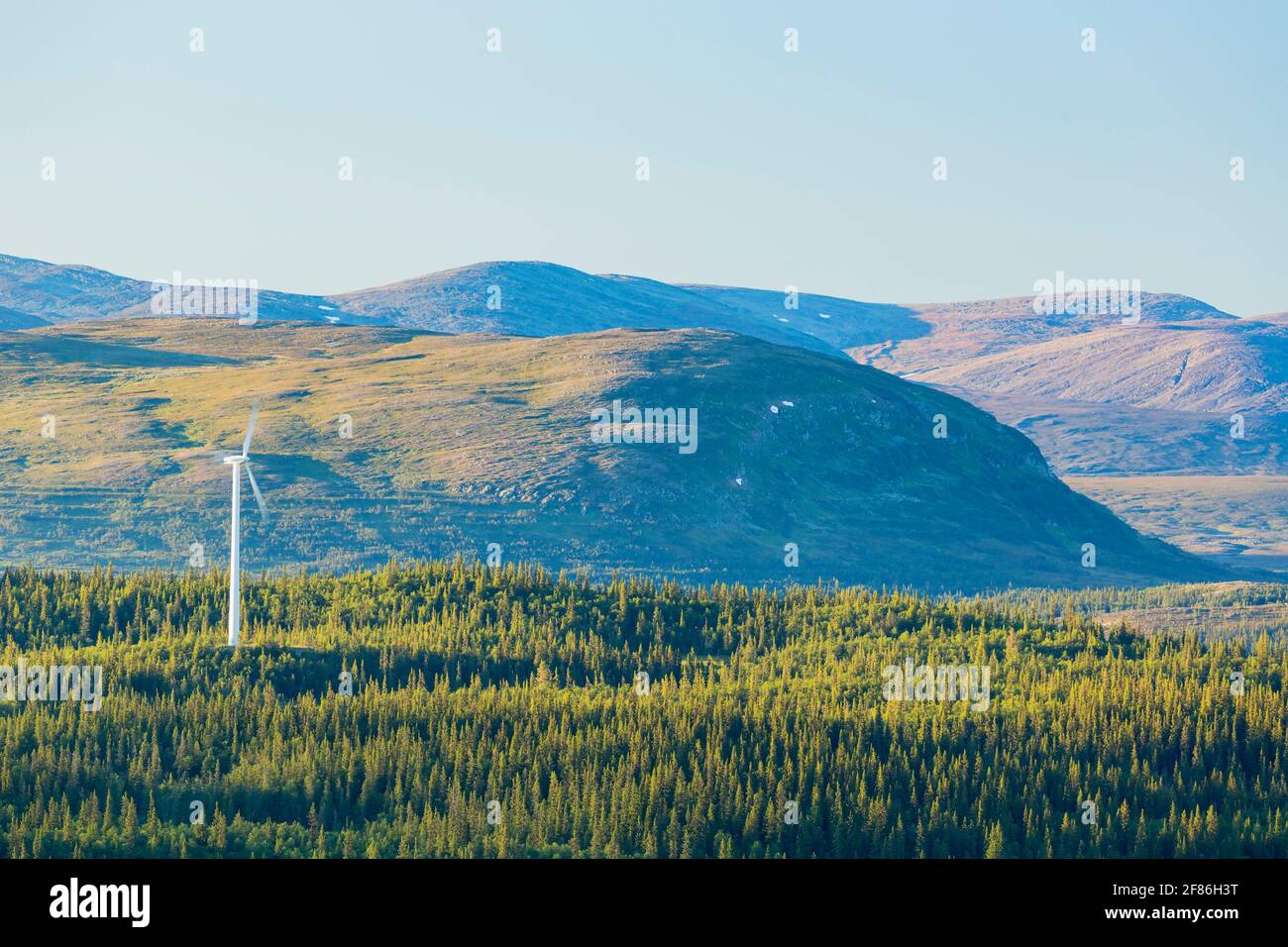 Wind turbine in the forest hi-res stock photography and images - Alamy