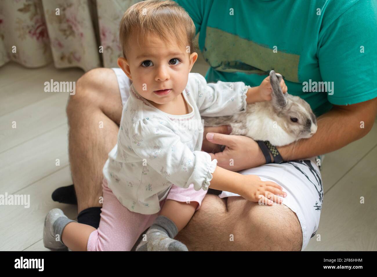 Father bunny hi-res stock photography and images - Alamy