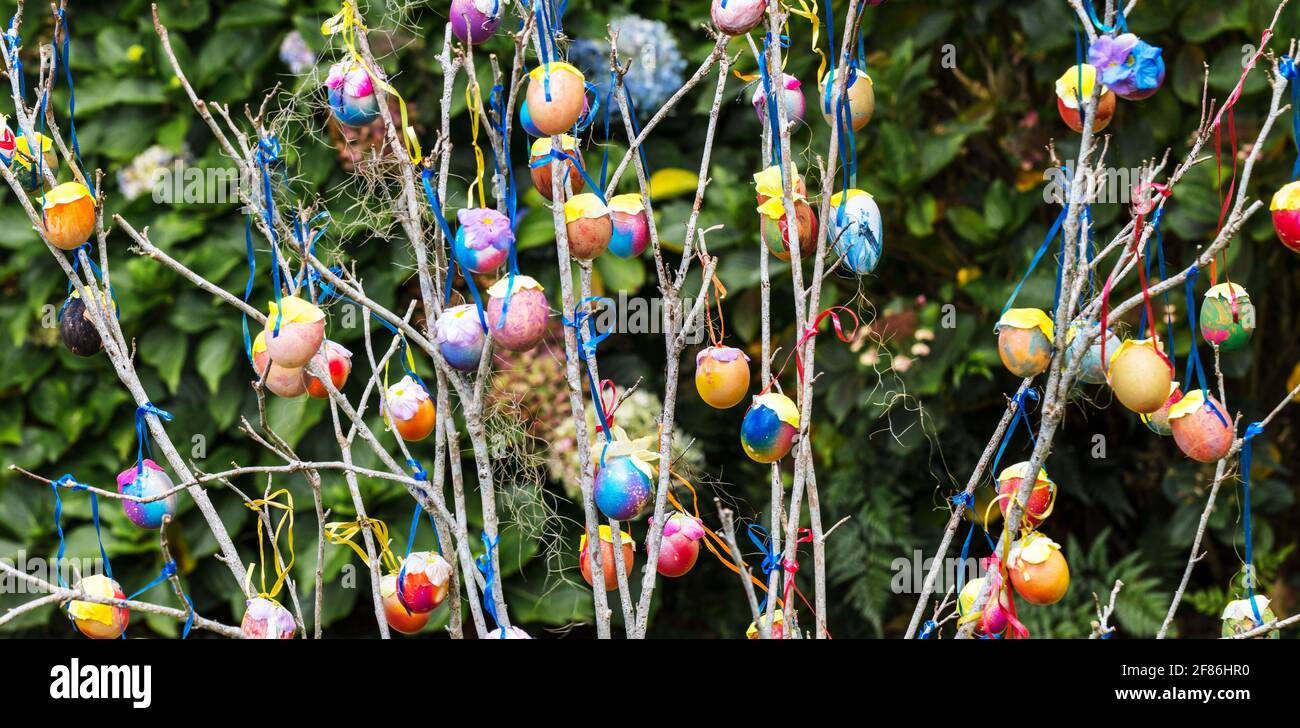 Beautiful Easter decoration with colored eggs Stock Photo - Alamy