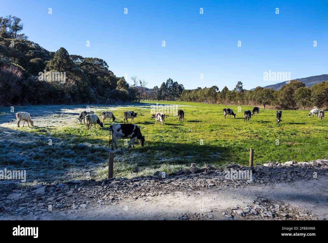 Rural landscape with beautiful greenery in Santa Catarina, Brazil Stock ...