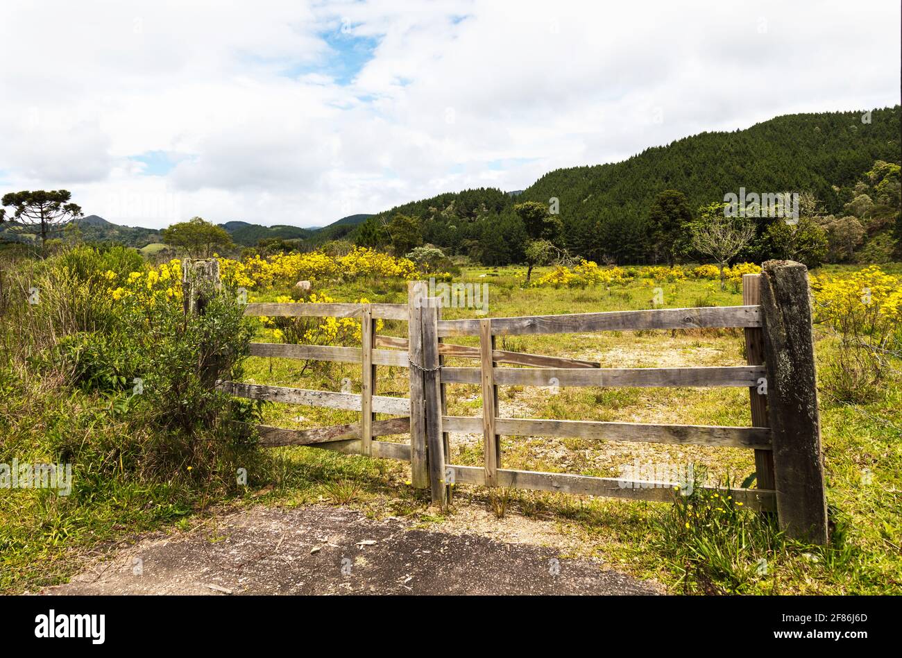 Rural landscape with beautiful greenery in Santa Catarina, Brazil Stock ...