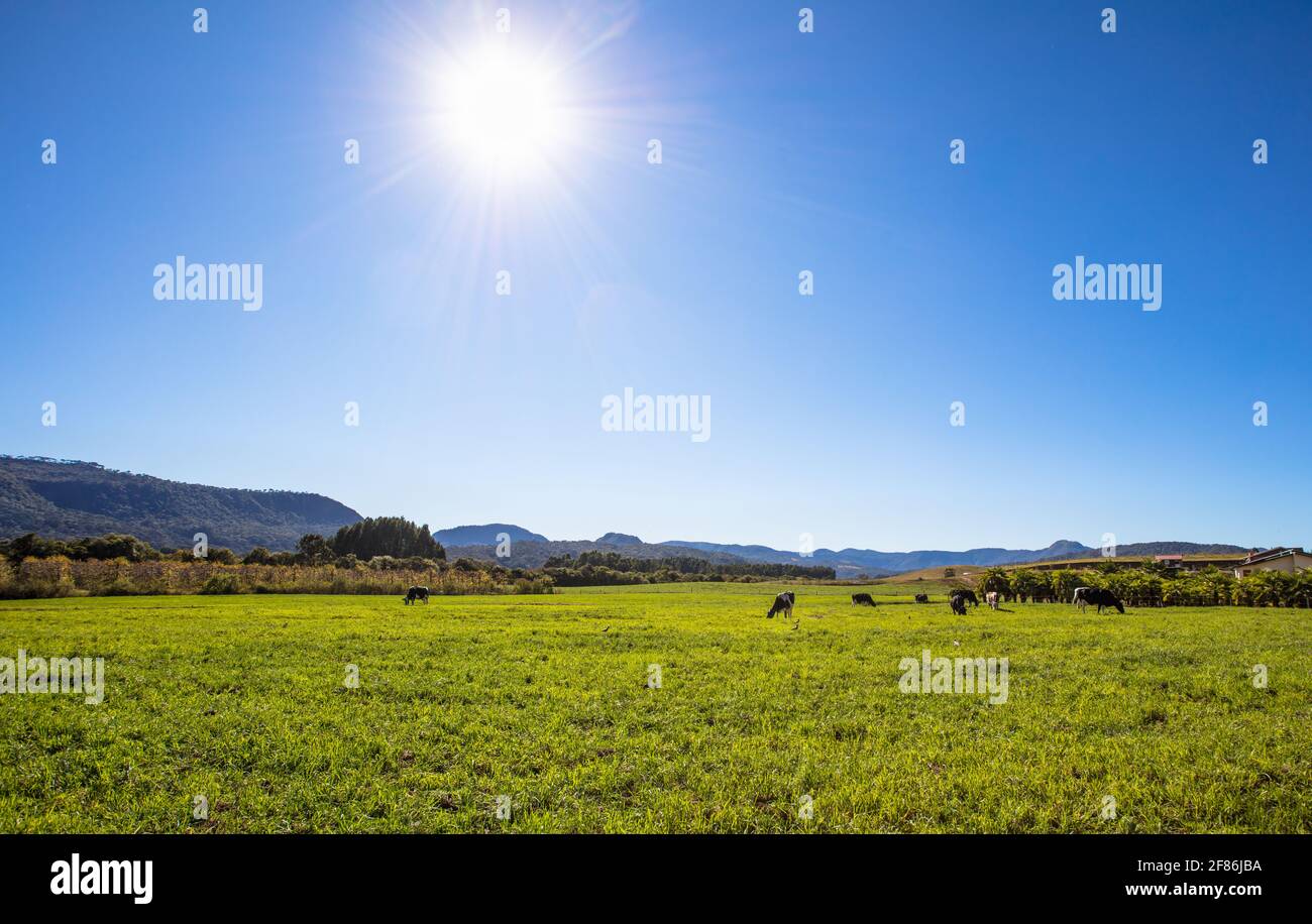 Rural landscape with beautiful greenery in Santa Catarina, Brazil Stock ...