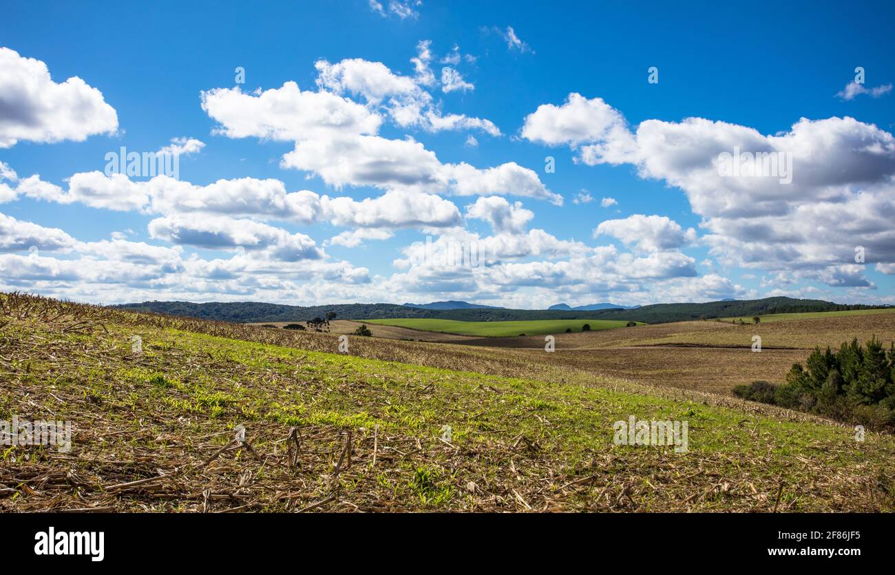 Rural landscape with beautiful greenery in Santa Catarina, Brazil Stock ...