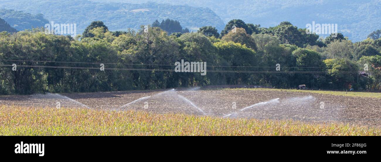 Rural landscape with beautiful greenery and trees in Santa Catarina ...