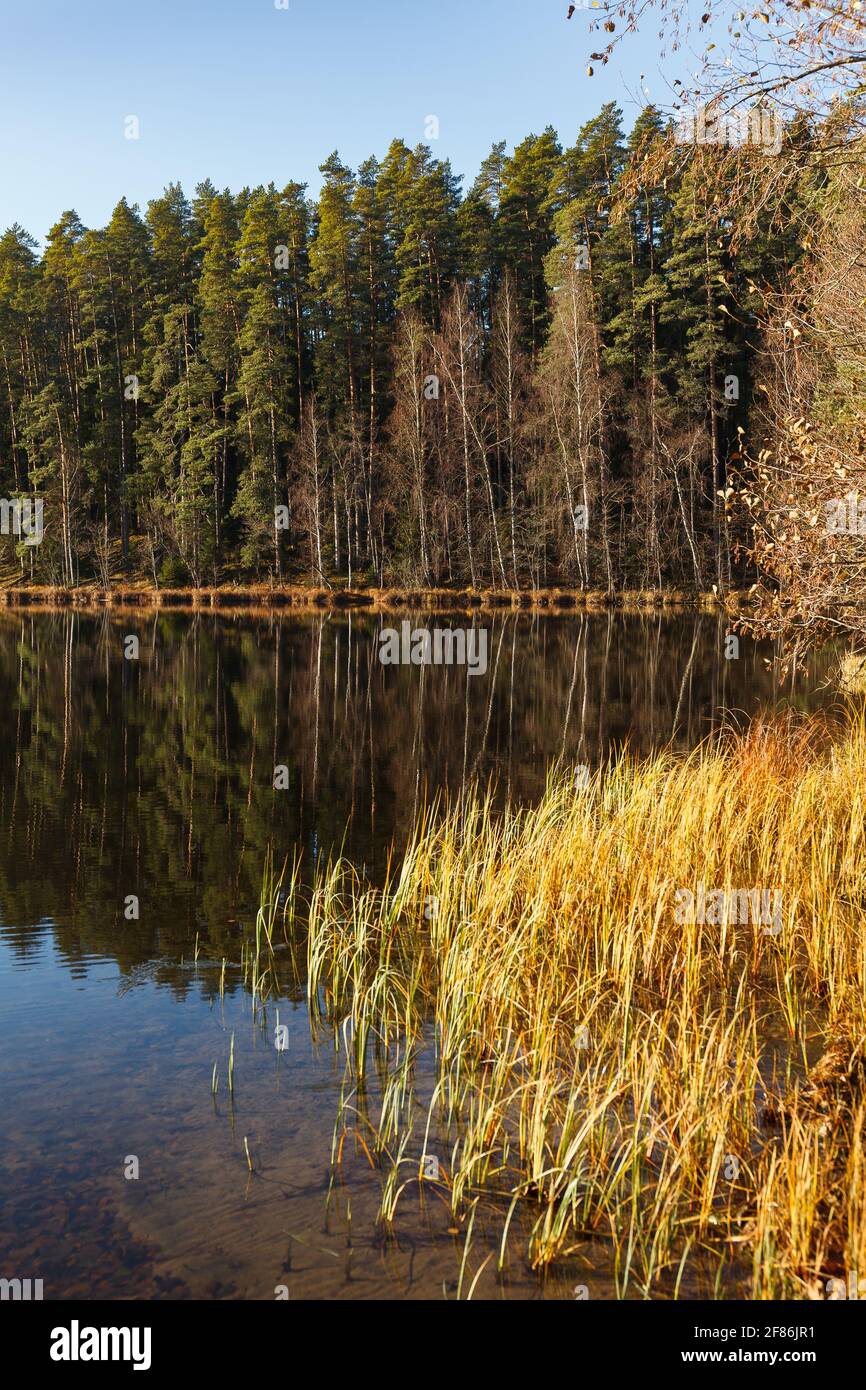 Autumn season mood. Trees with foliage around lake. Estonian ...