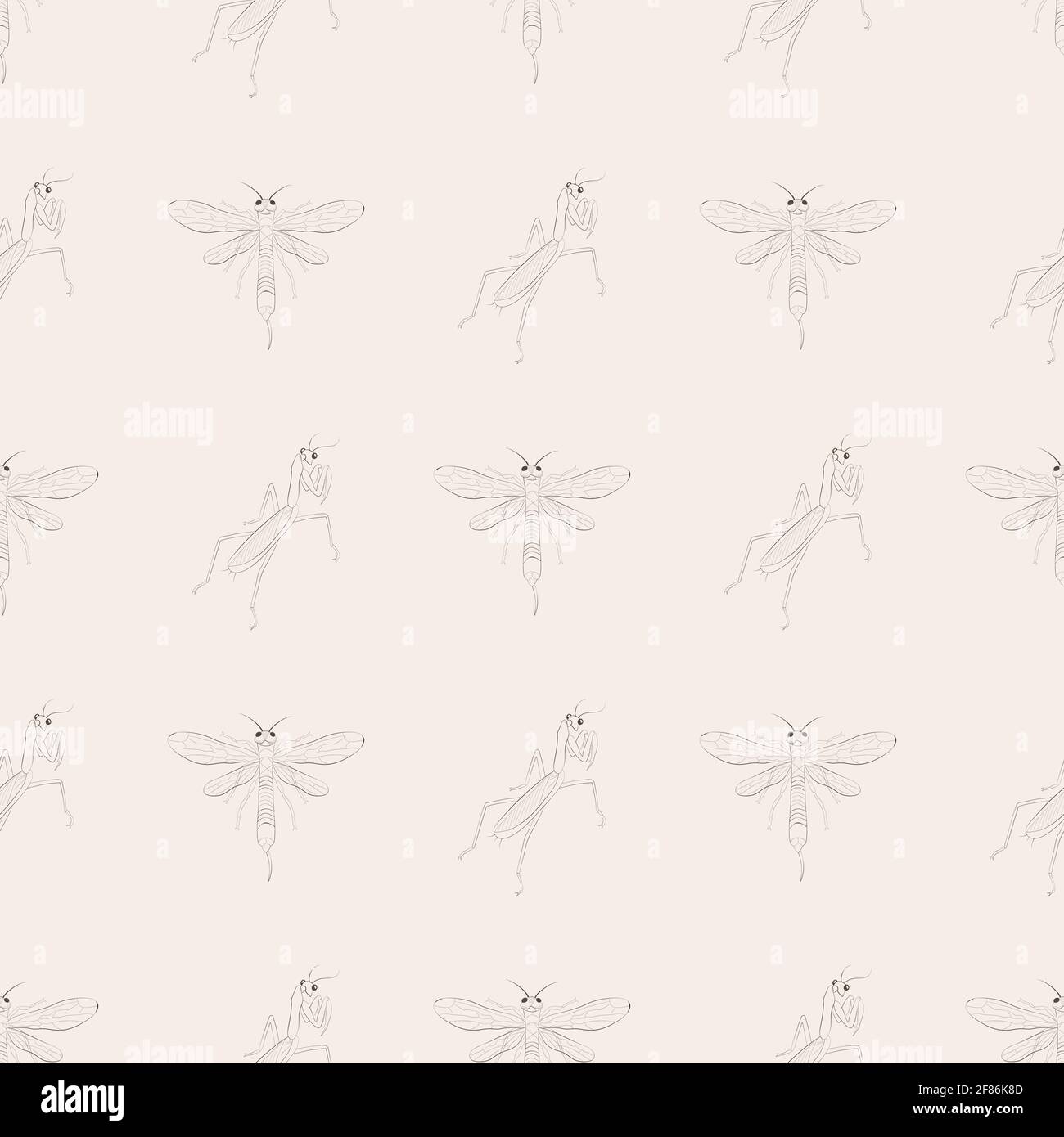 Insects natural Stock Vector Images - Alamy