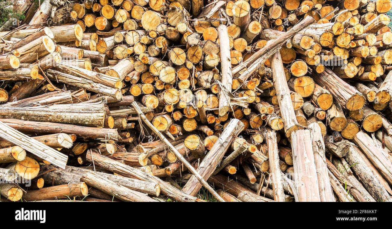 Stocked timber hi-res stock photography and images - Alamy