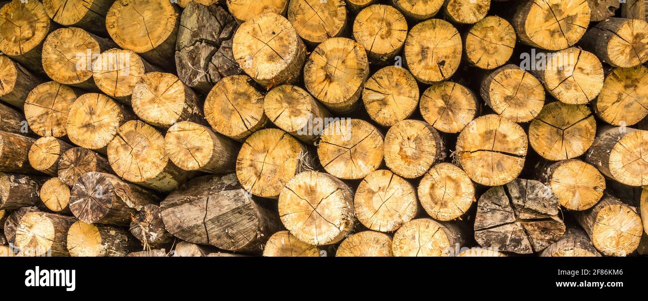 Stocked timber hi-res stock photography and images - Alamy