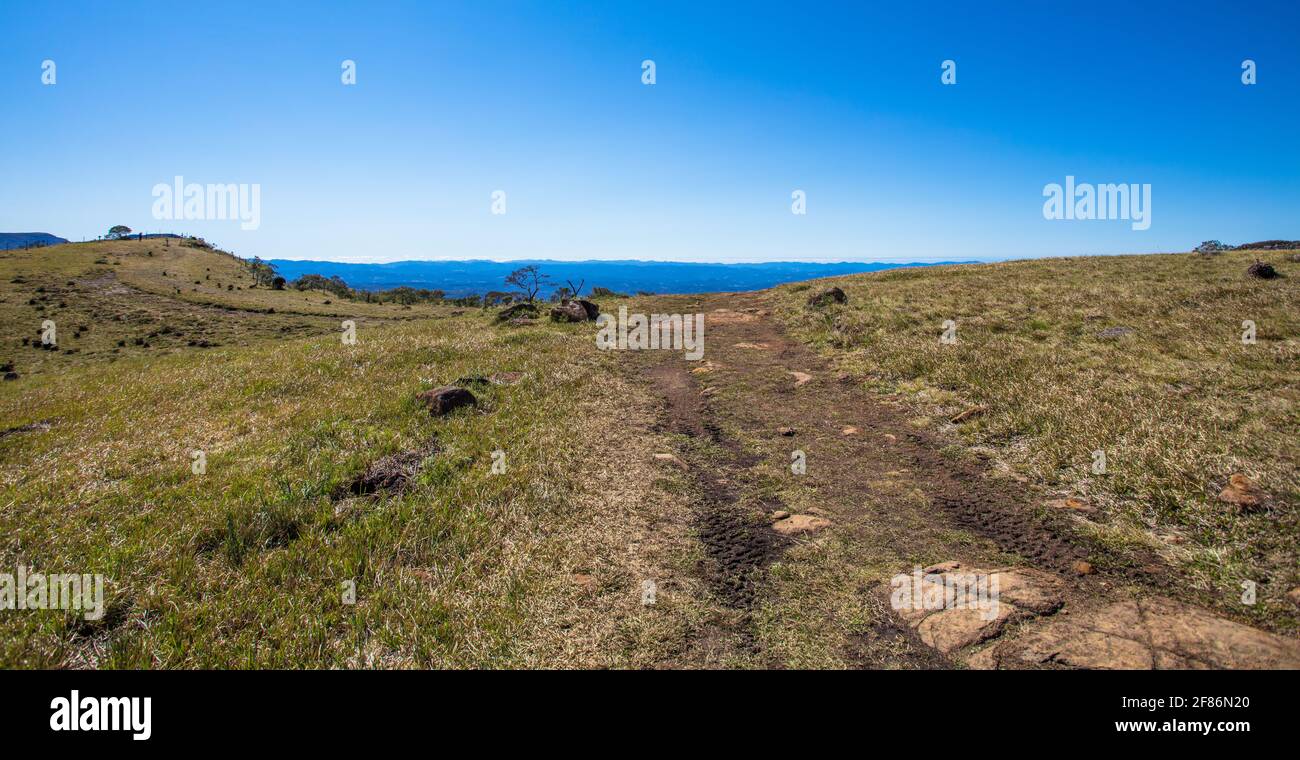 Rural landscape with bushes and greenery in Santa Catarina, Brazil ...