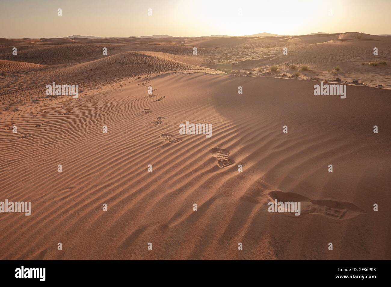 Al madam, uae hi-res stock photography and images - Alamy