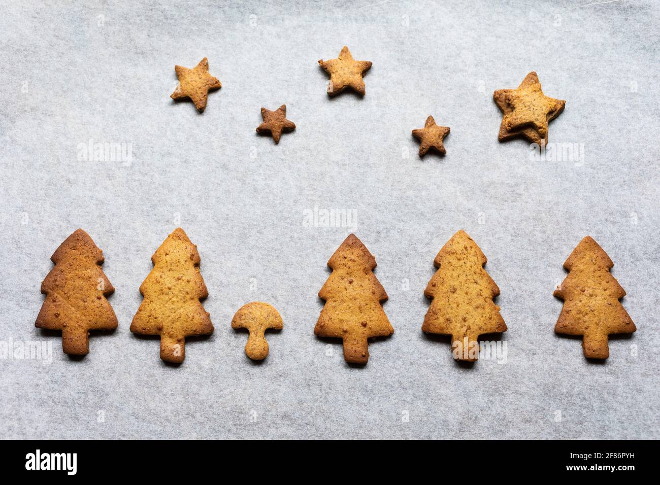 Gingerbread trees and stars on parchment paper Stock Photo - Alamy